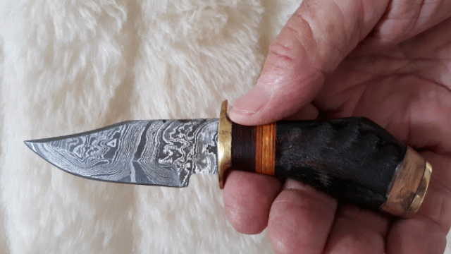 CUSTOM DAMASCUS "MINI RAM COMPACT II" HUNTING KNIFE – Bama Paracord & More